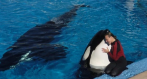 Taku’s Gallery – Inherently Wild