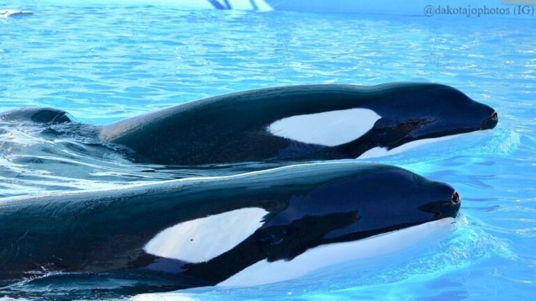 Kyuquot’s Gallery – Inherently Wild