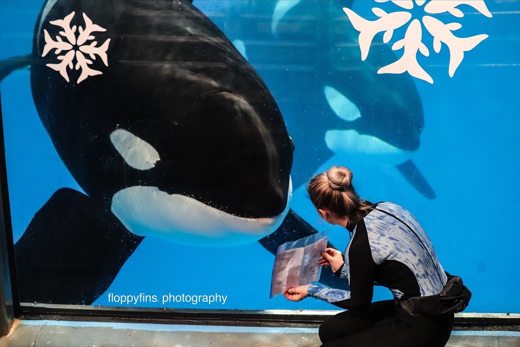 Tuar’s Gallery – Inherently Wild