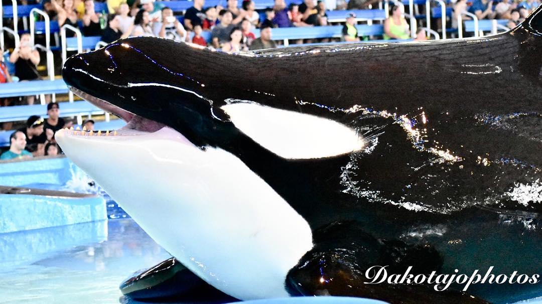 Kyuquot’s Gallery – Inherently Wild