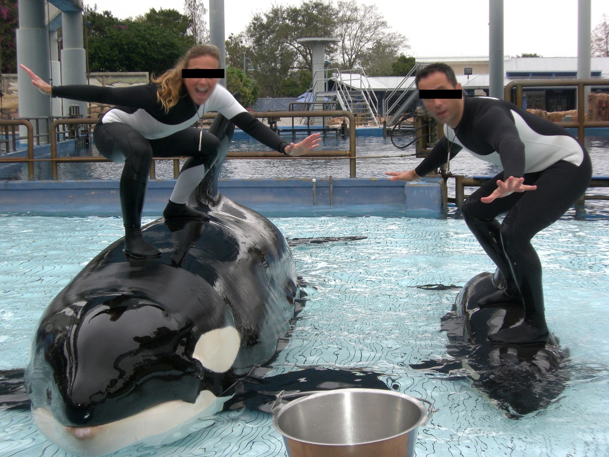 The Anderson Court Case: SeaWorld Exposed – Inherently Wild