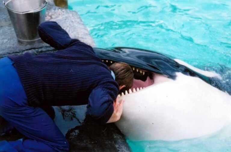 Winston’s Gallery – Inherently Wild