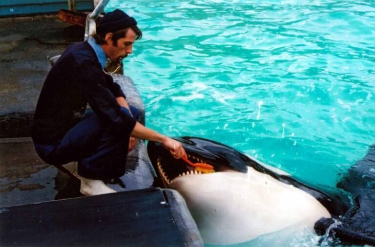 Winston’s Gallery – Inherently Wild