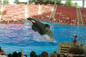 Kotar’s Gallery – Inherently Wild