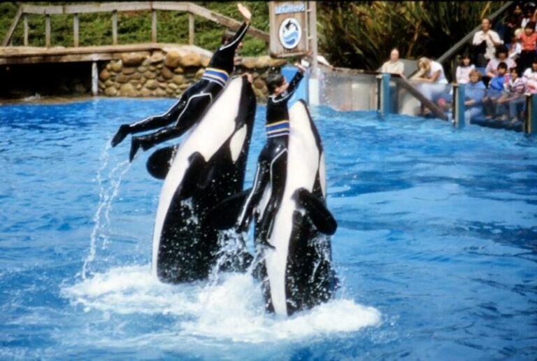 Kandu 5’s Gallery – Inherently Wild