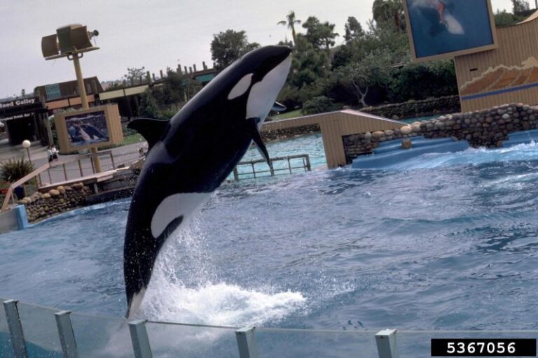 Kandu 5’s Gallery – Inherently Wild