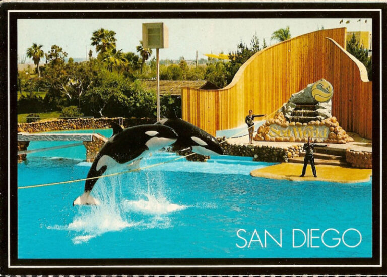 Kandu 5’s Gallery – Inherently Wild