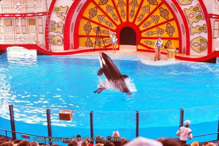 Kandu 5’s Gallery – Inherently Wild