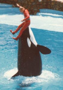 Kandu 5’s Gallery – Inherently Wild