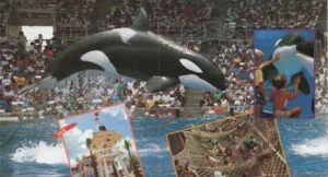 Kotar’s Gallery – Inherently Wild