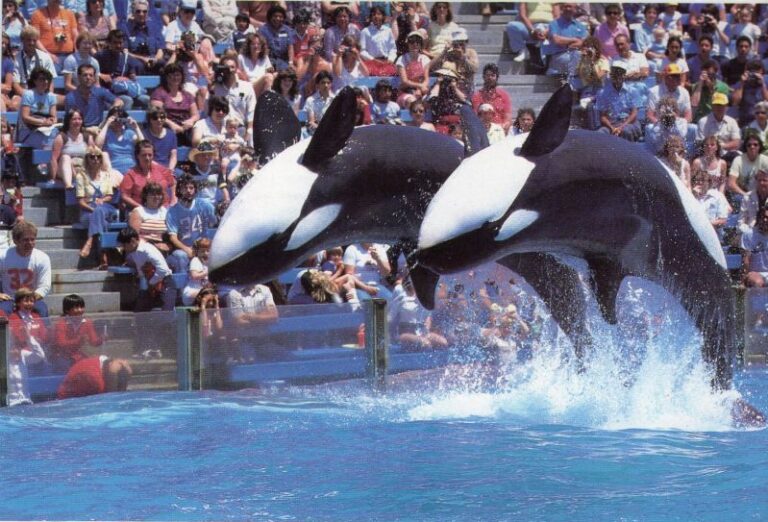 Kandu 5’s Gallery – Inherently Wild