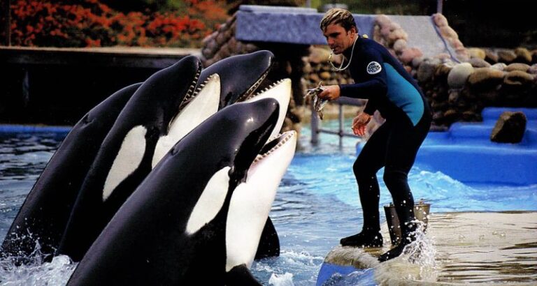 Kandu 5’s Gallery – Inherently Wild