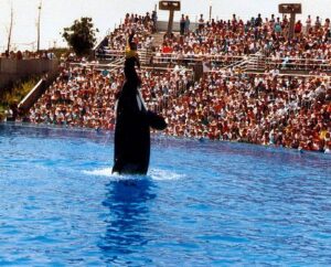 Kandu 5’s Gallery – Inherently Wild