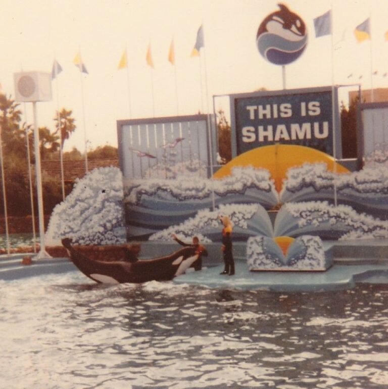 Kandu 5’s Gallery – Inherently Wild