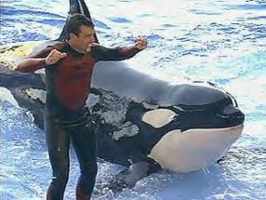 Taku’s Gallery – Inherently Wild