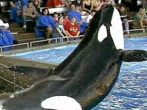 Taku’s Gallery – Inherently Wild