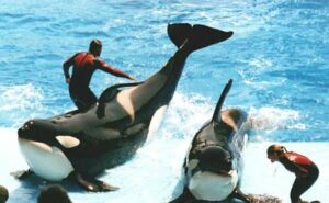 Taku’s Gallery – Inherently Wild