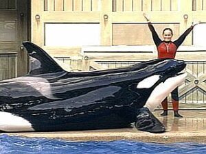 Taku’s Gallery – Inherently Wild