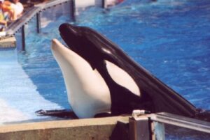 Taku’s Gallery – Inherently Wild