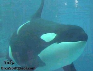 Taku’s Gallery – Inherently Wild