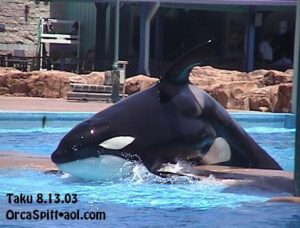 Taku’s Gallery – Inherently Wild