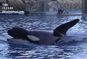 Taku’s Gallery – Inherently Wild