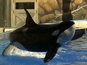 Taku’s Gallery – Inherently Wild