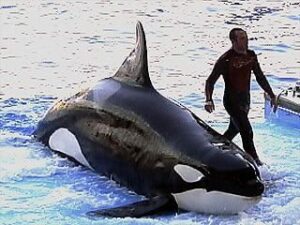 Taku’s Gallery – Inherently Wild