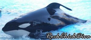 Taku’s Gallery – Inherently Wild