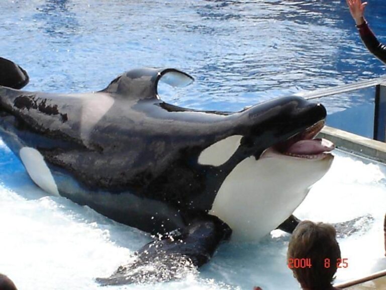 Taku’s Gallery – Inherently Wild