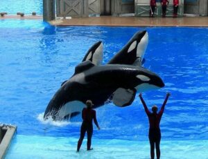 Taku’s Gallery – Inherently Wild