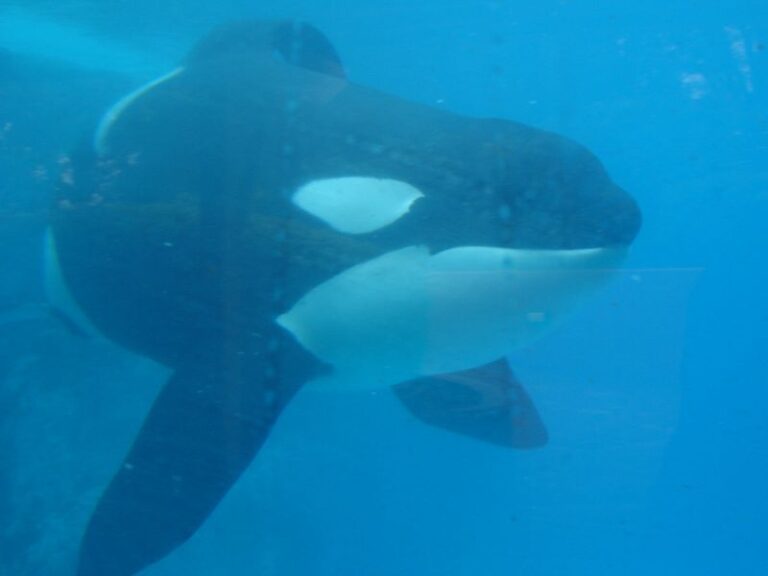 Taku’s Gallery – Inherently Wild