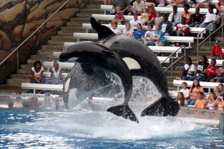 Taku’s Gallery – Inherently Wild