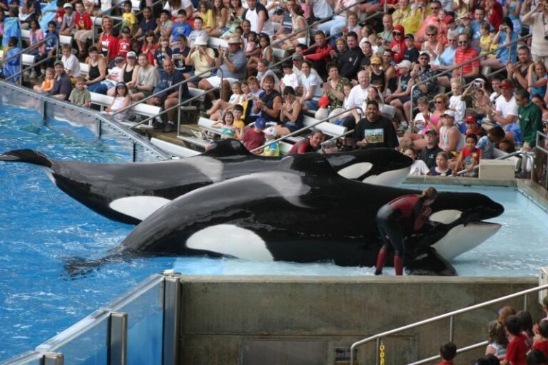 Taku’s Gallery – Inherently Wild