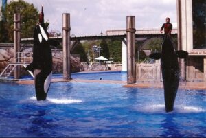 Taku’s Gallery – Inherently Wild