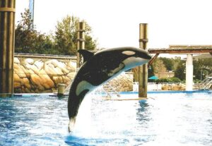 Taku’s Gallery – Inherently Wild