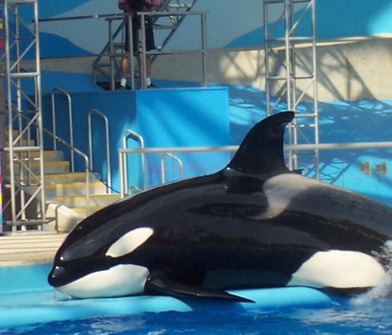 Kyuquot’s Gallery – Inherently Wild