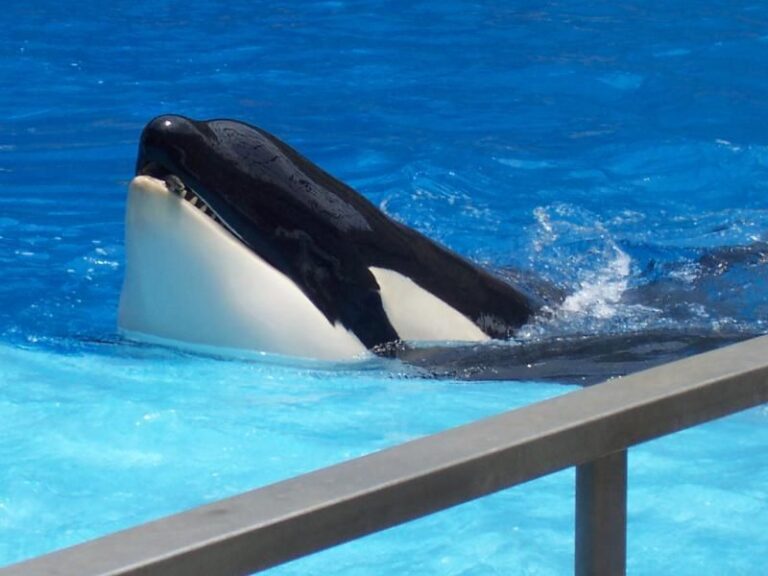 Kyuquot’s Gallery – Inherently Wild