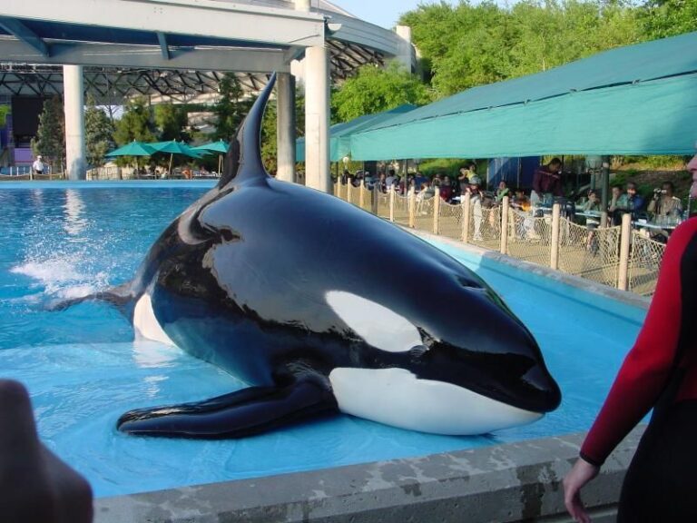 Kyuquot’s Gallery – Inherently Wild