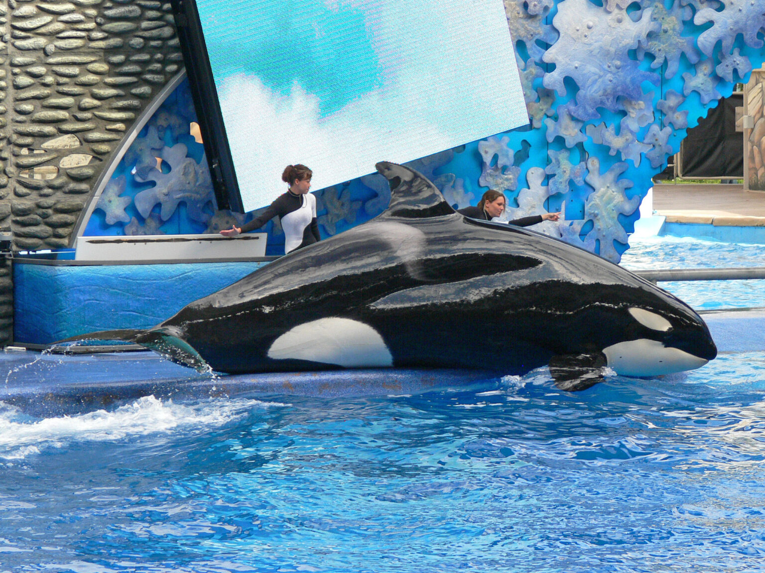 Kalina’s Gallery – Inherently Wild