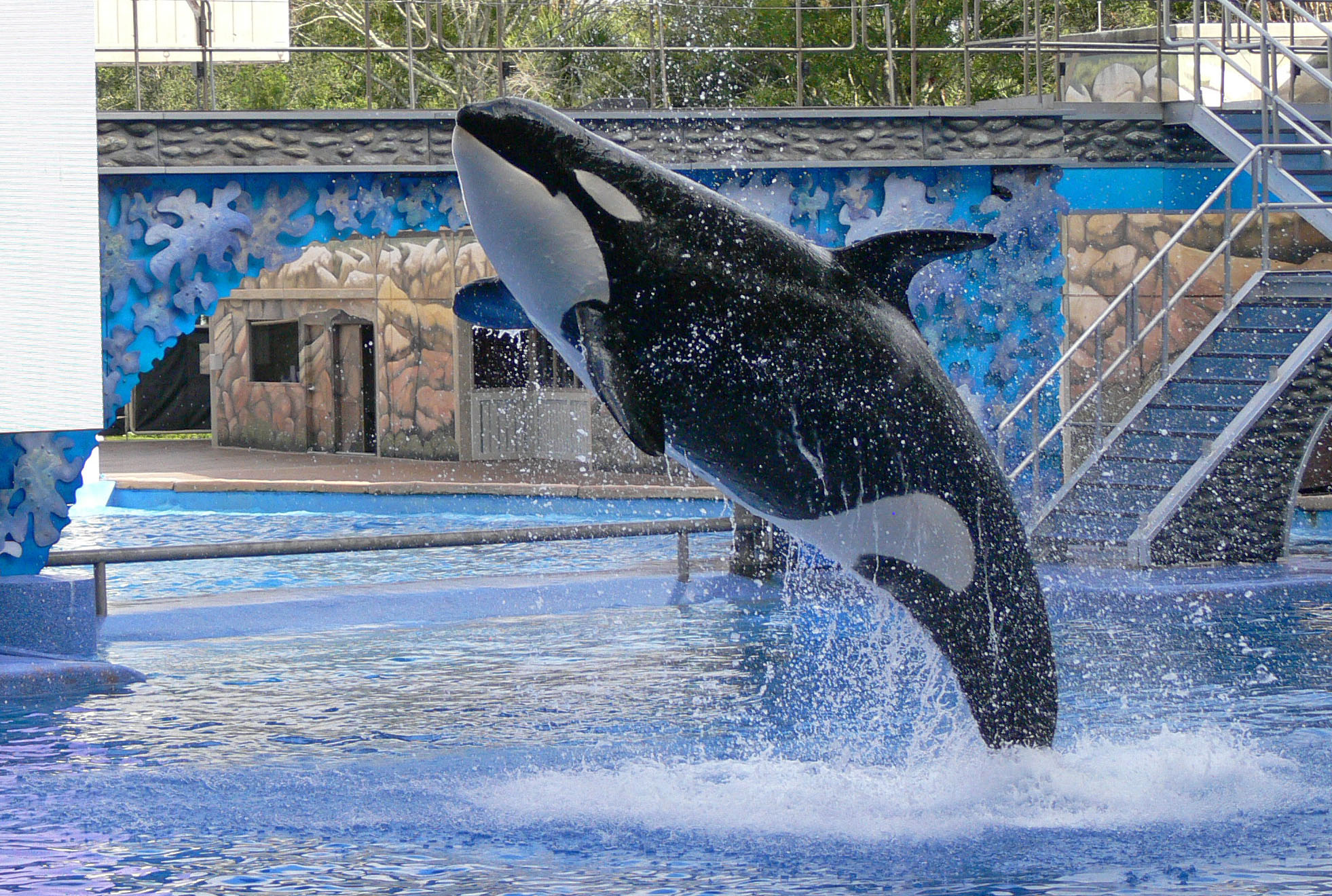 Kalina’s Gallery – Inherently Wild