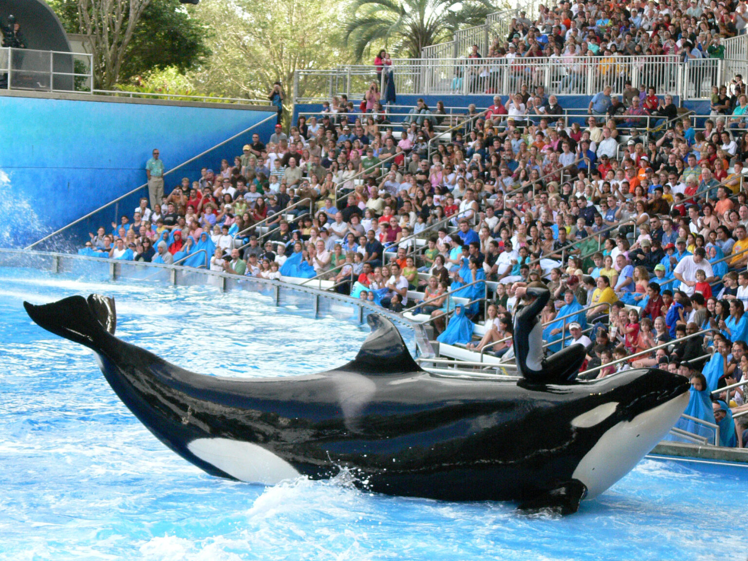 Kalina’s Gallery – Inherently Wild