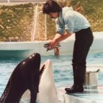 Kianu’s Gallery – Inherently Wild