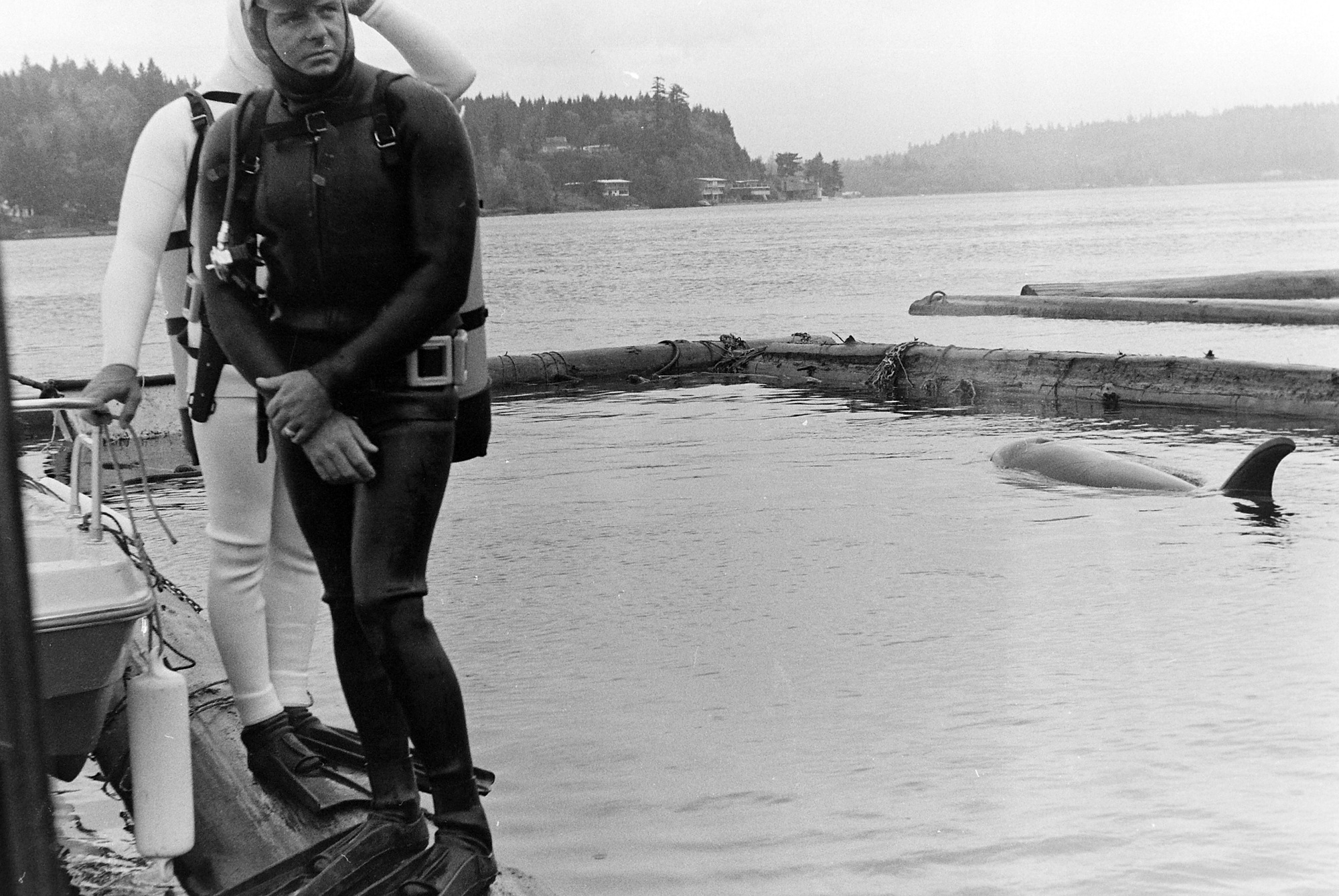 Shamu’s Gallery – Inherently Wild