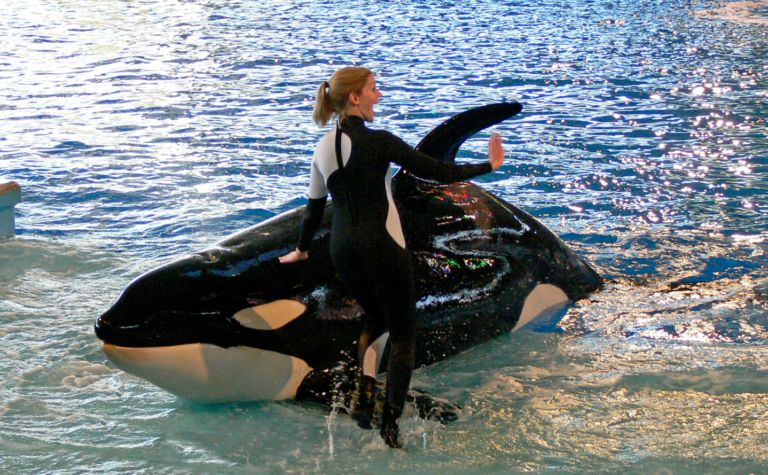 Tuar – Inherently Wild