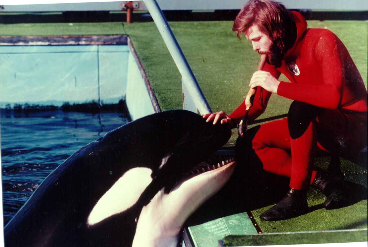 Miracle’s Gallery – Inherently Wild