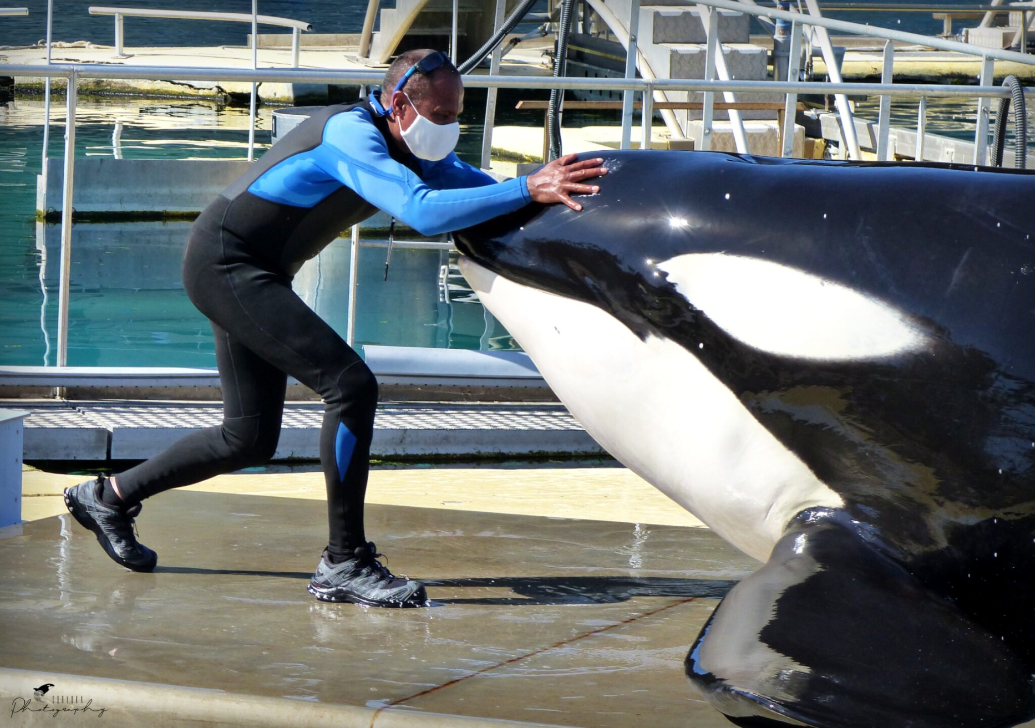 Inouk’s Gallery – Inherently Wild