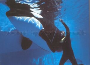 Kandu 5’s Gallery – Inherently Wild