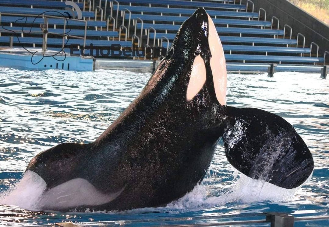 Kyuquot’s Gallery – Inherently Wild