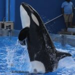 Makaio’s Gallery – Inherently Wild